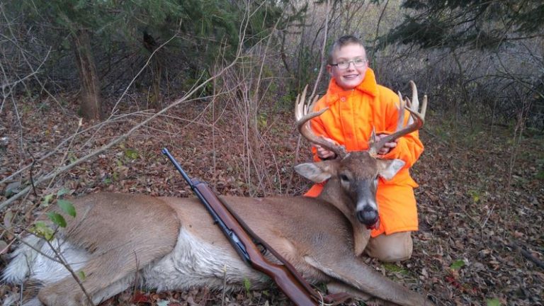 2025 Preliminary gun deer hunt license sales & harvest totals | By Wi DNR