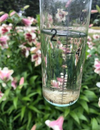 Chime in with your rainfall totals across Washington County, Wi