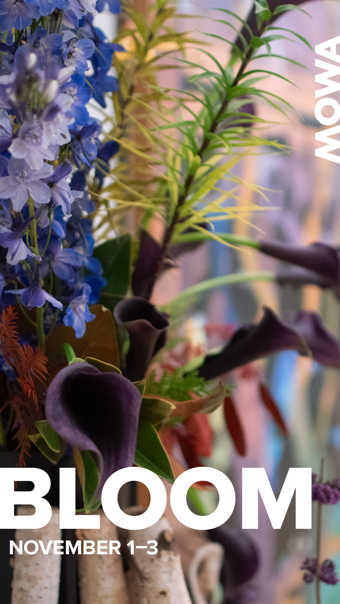 BLOOM 2024 People's Choice Winner at MOWA