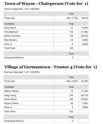 Candidates advance to April 1, 2025, Spring General Election in ...